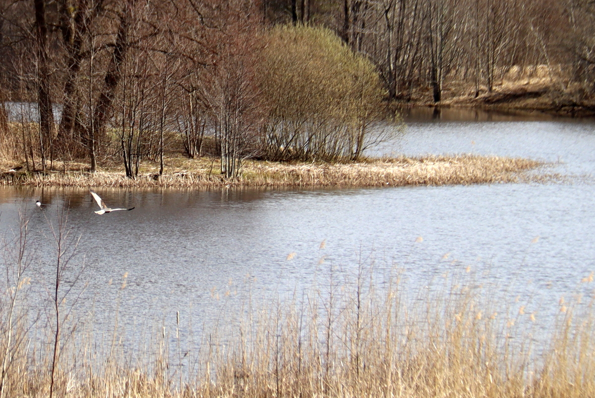 Home page - Grindeks