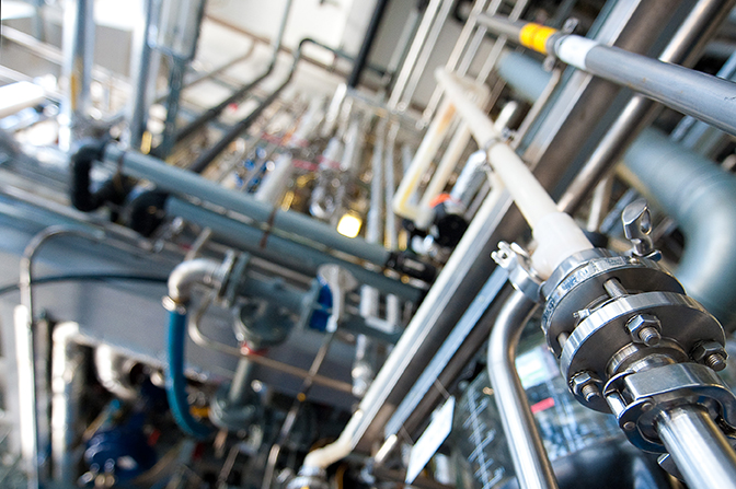 Margarita Troinikova: Grindeks biggest advantage as an employer is ...